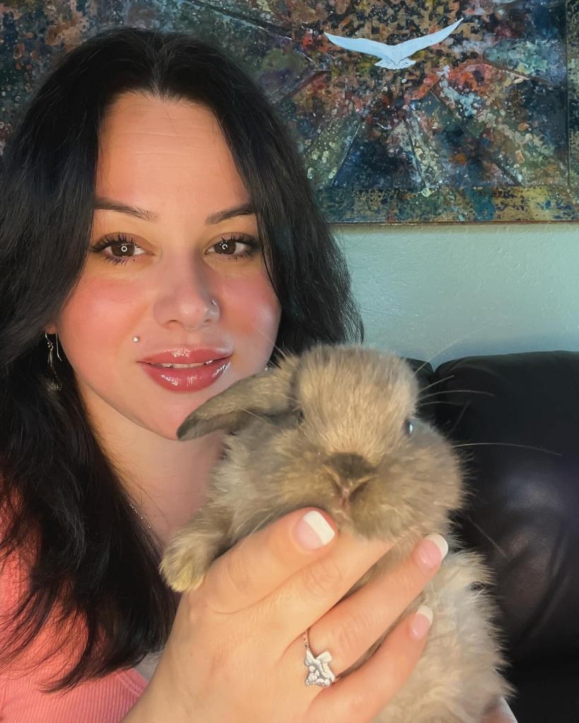 Mini Lop Bunnies - Jamila's Ragdolls